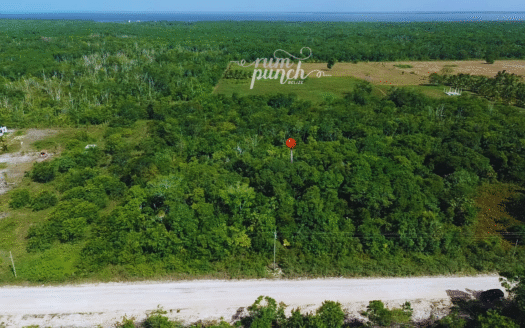 Rum Punch Realty – We know real estate